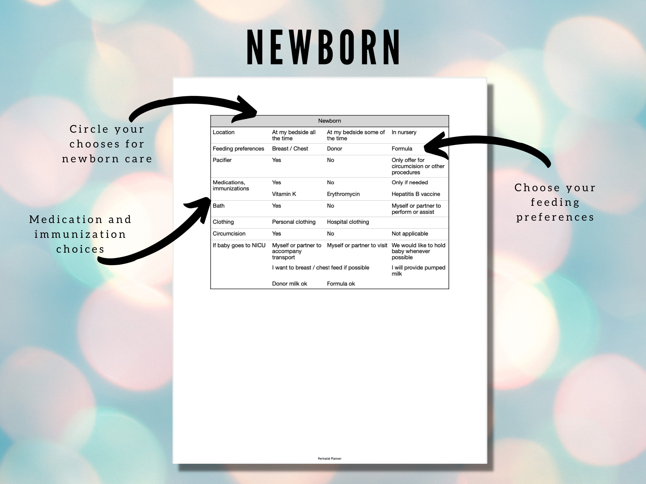 Inclusive Birth Plan Template, Every Body's Birth Plan, Gender Neutral ...