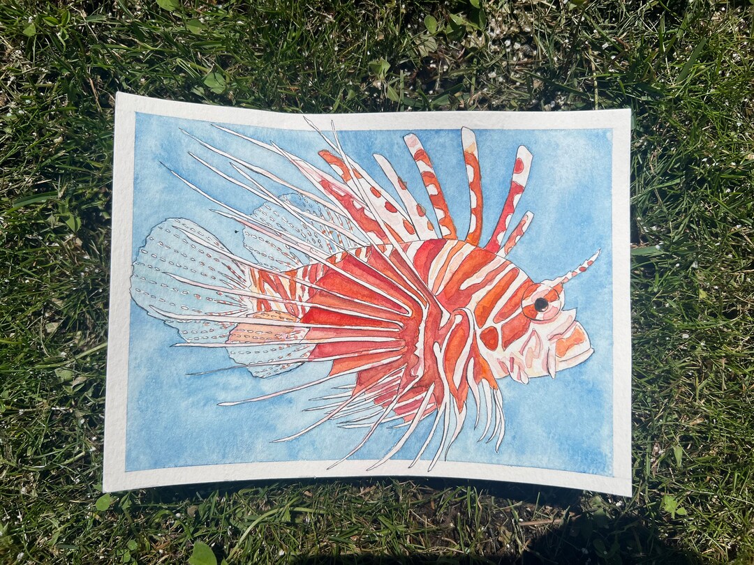 Lion Fish Watercolor Art Print - Etsy