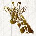 Giraffe SVG, Giraffe Head, Cut File for Cricut, Silhouette, Giraffe PNG ...