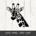 Giraffe SVG, Giraffe Head, Cut File for Cricut, Silhouette, Giraffe PNG ...