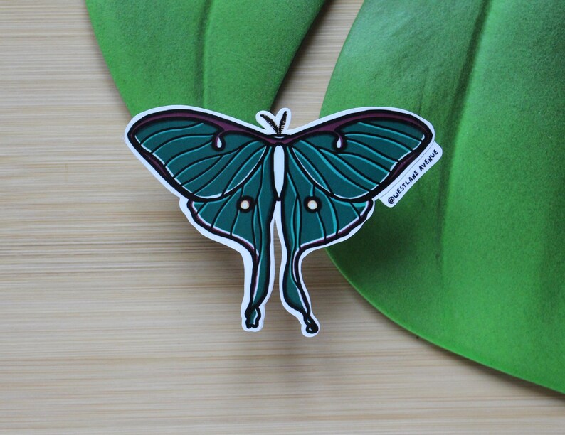 Luna Moth Sticker | Easy Peel | Water Resistant | Hippie | Cottage Core ...