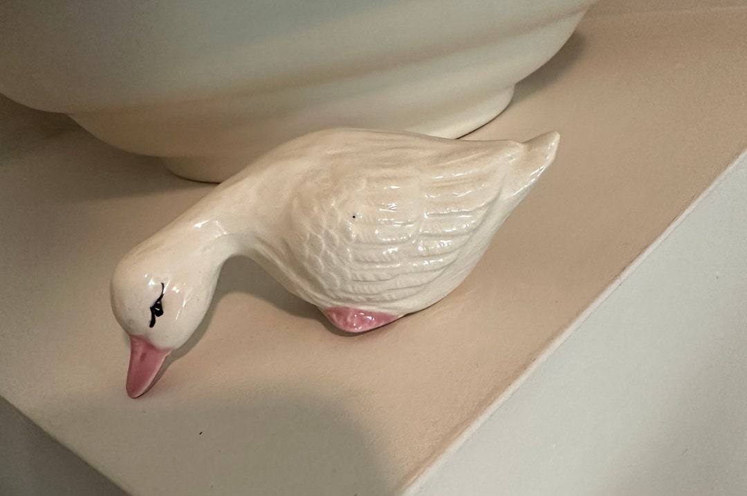 Vintage White Iridescent Duck Pink Trim Granny Chic - Etsy