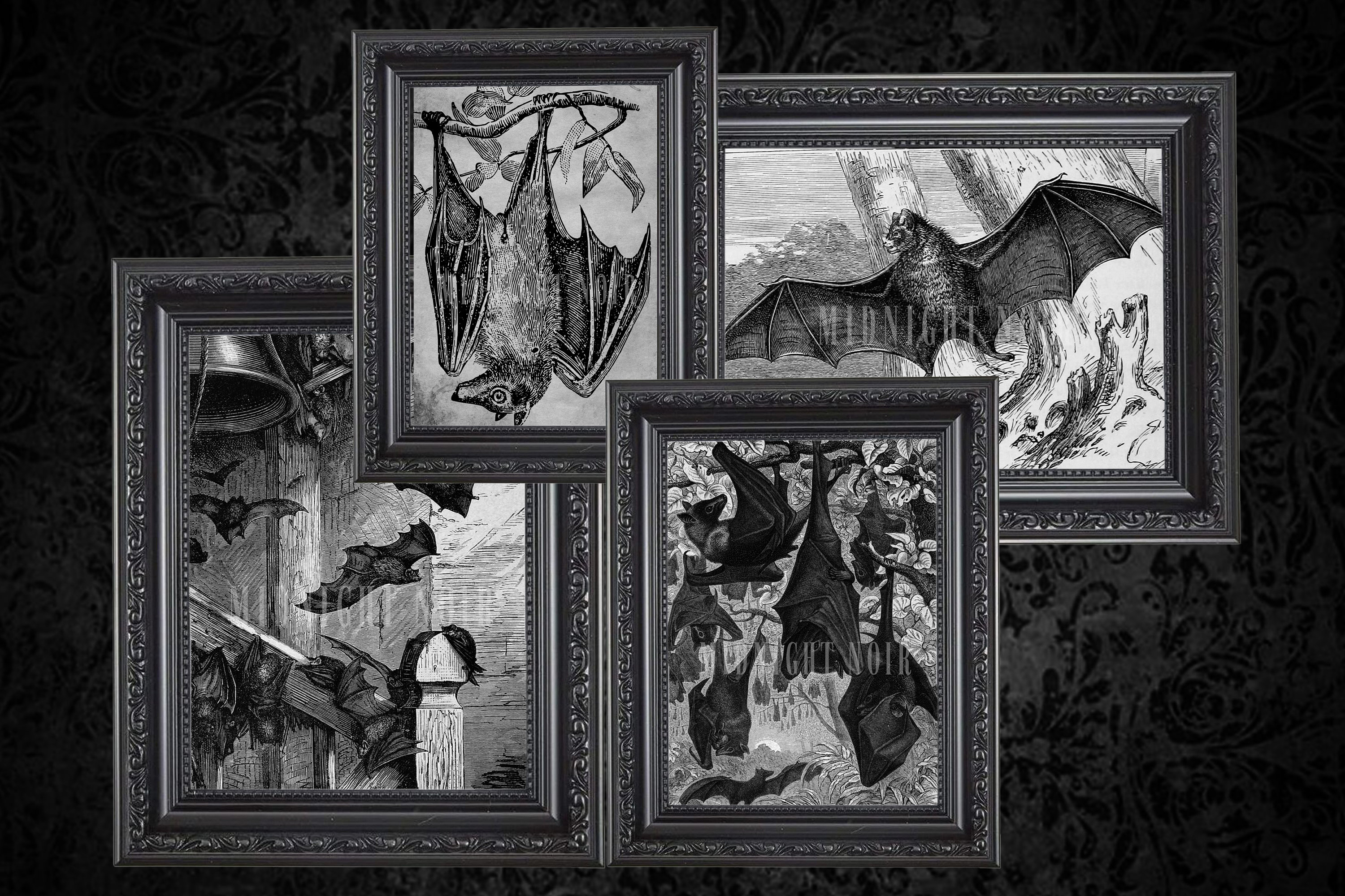 Gothic Macabre Art Print Digital Wall Art Poster Set of 4 8 X 12 - Etsy