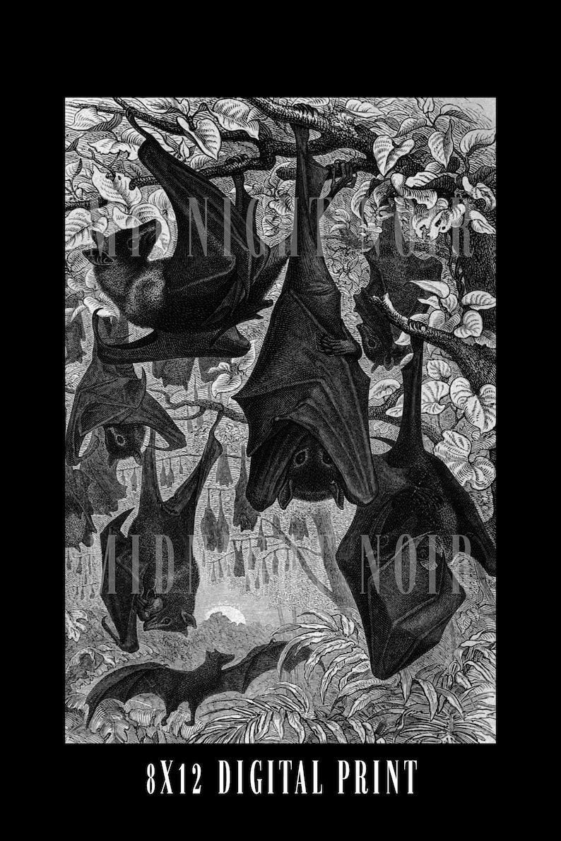 Gothic Macabre Art Print Digital Wall Art Poster Set of 4 8 X - Etsy