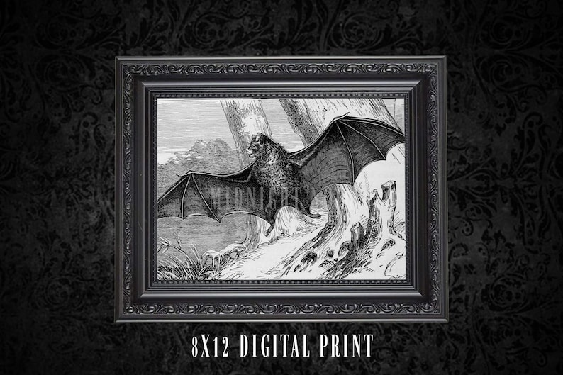 Gothic Macabre Art Print Digital Wall Art Poster Set of 4 8 X - Etsy