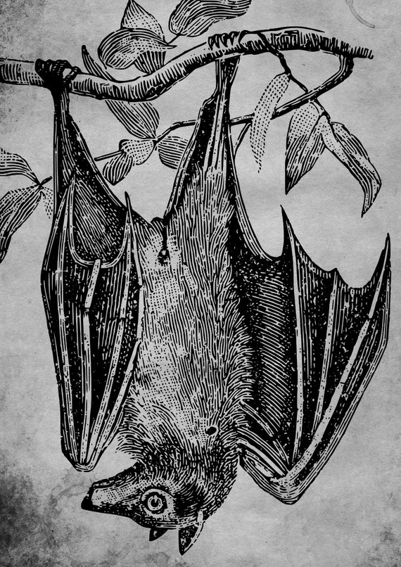 Bat Gothic Fine Art Print - Etsy