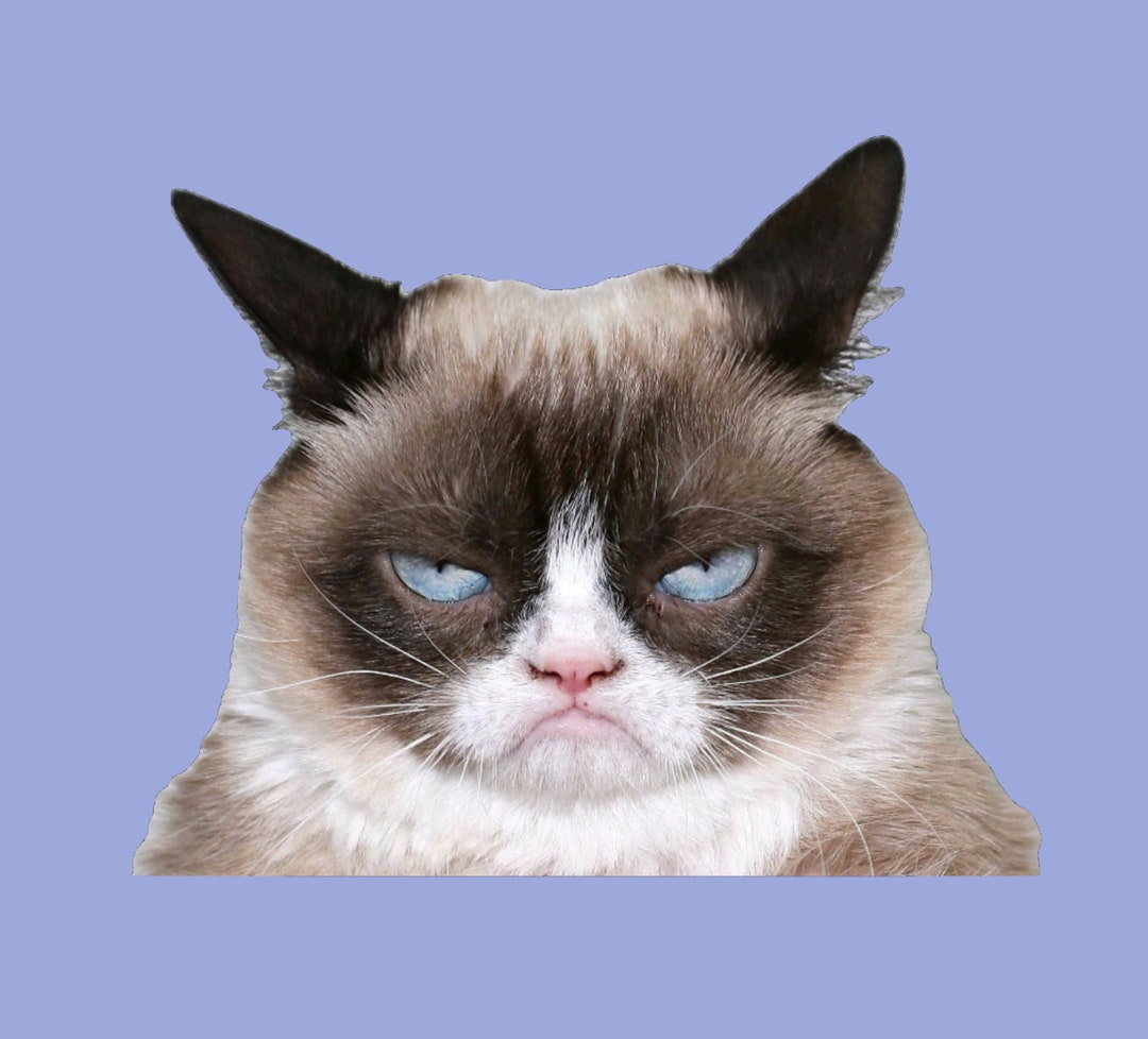 Grumpy Cat Die Cut Sticker Decal - Etsy