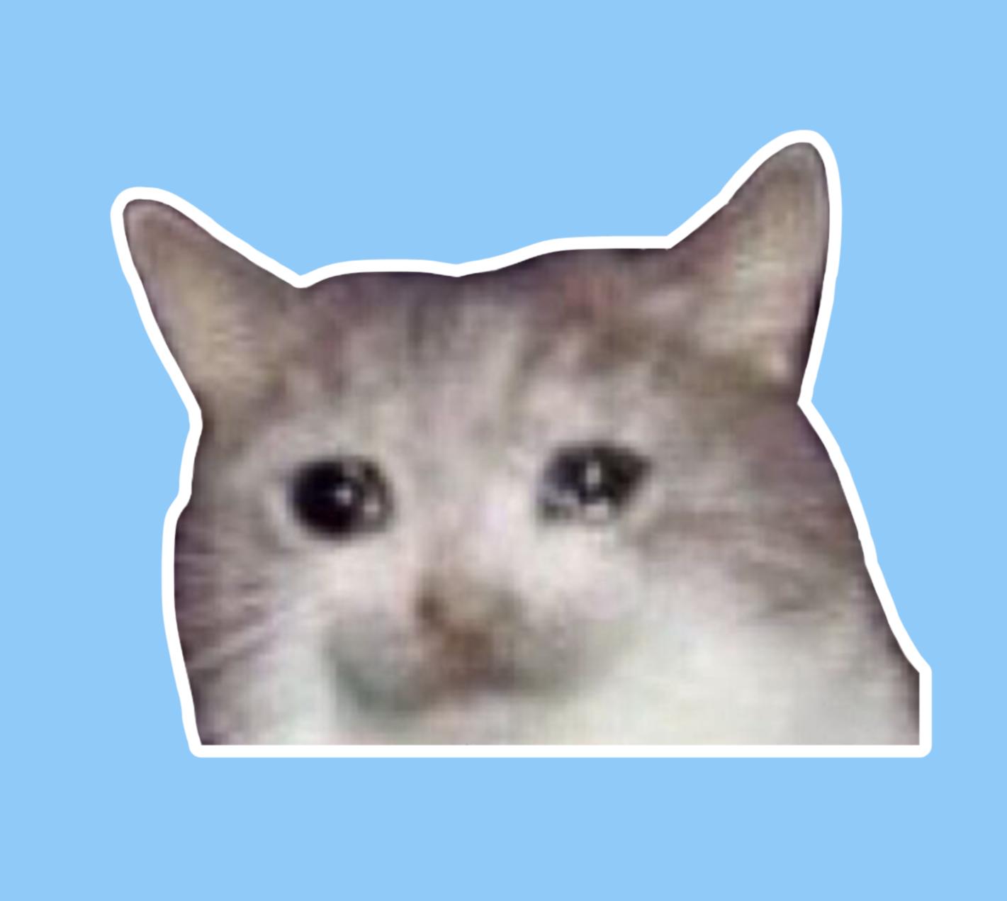 Sad Cat Meme Die Cut Sticker Decal - Etsy