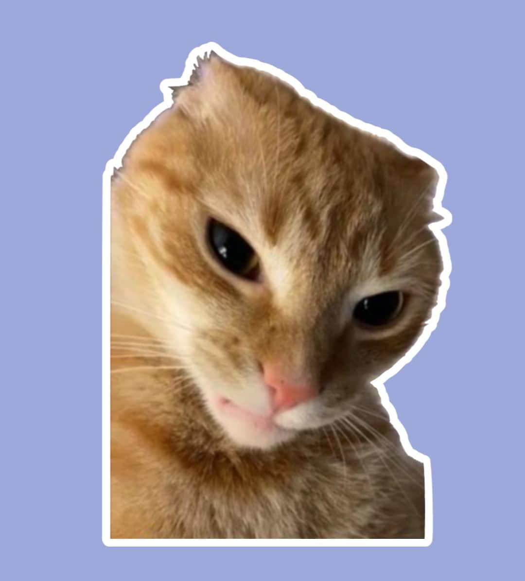 Ratchet Orange Cat Meme Die Cut Sticker Decal - Etsy