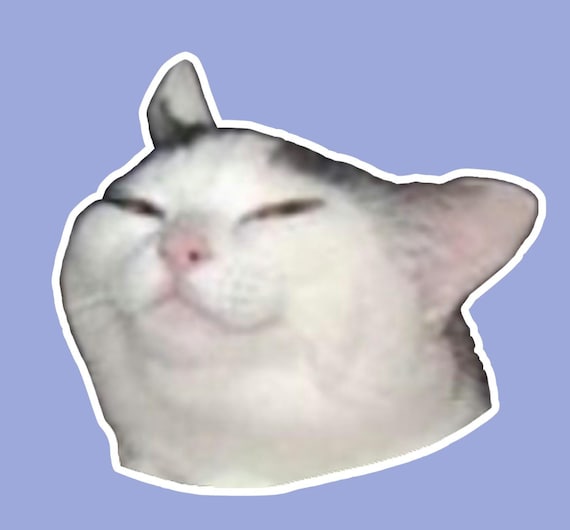 Smug Cat Memes