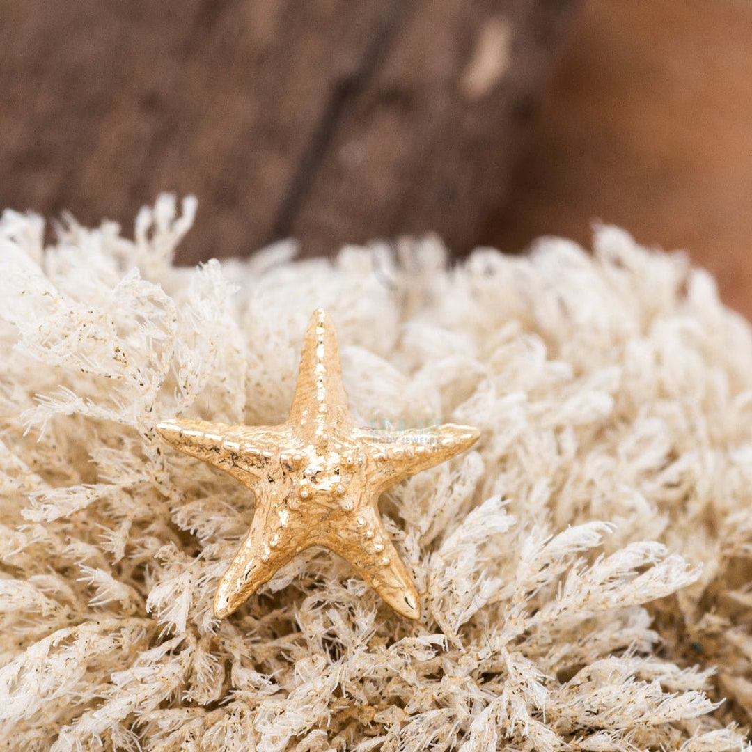 Tawapa Threadless: Starfish Pin in Gold - Etsy