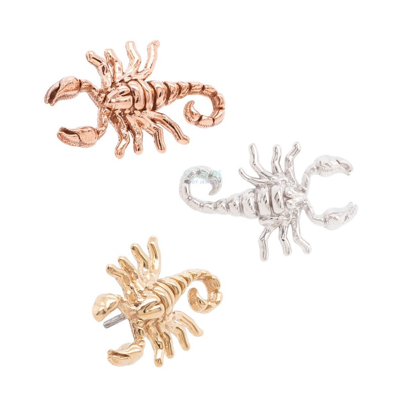 Tawapa Threadless: Scorpion Pin in Gold - Etsy