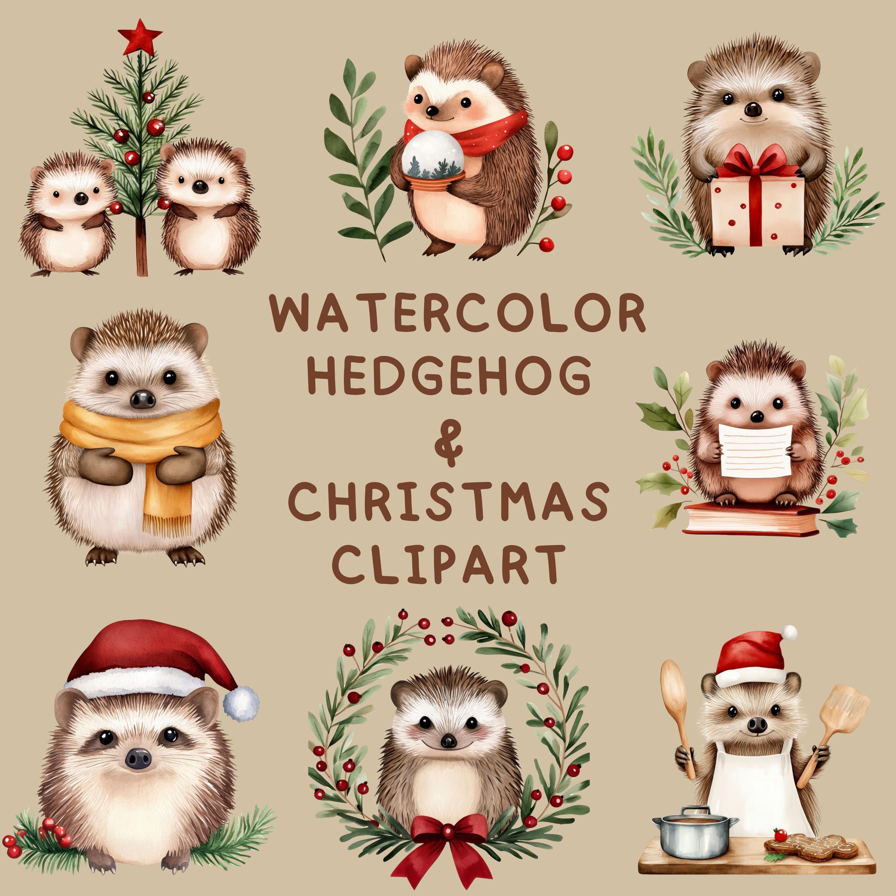Watercolor Christmas Hedgehog Clipart: Scrapbook Graphics (digital ...