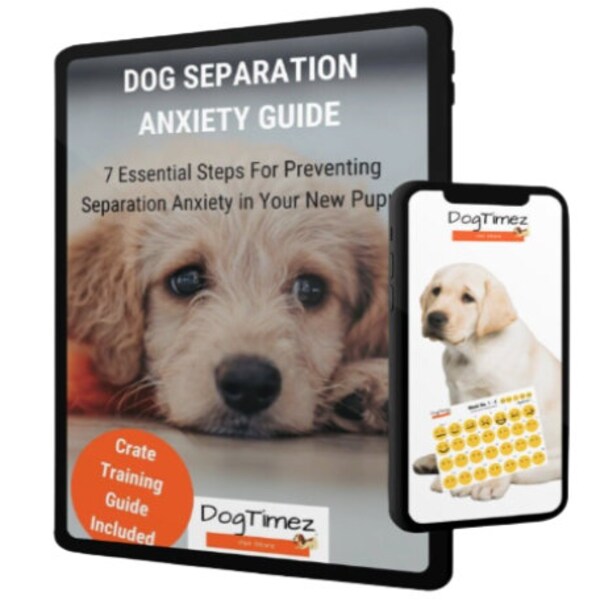 Separation Anxiety - Etsy