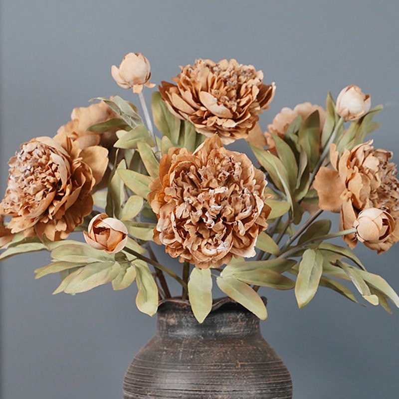 Tan Peony Stems - Etsy