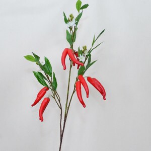 Fake Chili Pepper Branch With Leaves, Rustic Capsicum Annuum Stem, Home ...