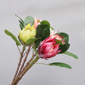 Protea - Etsy
