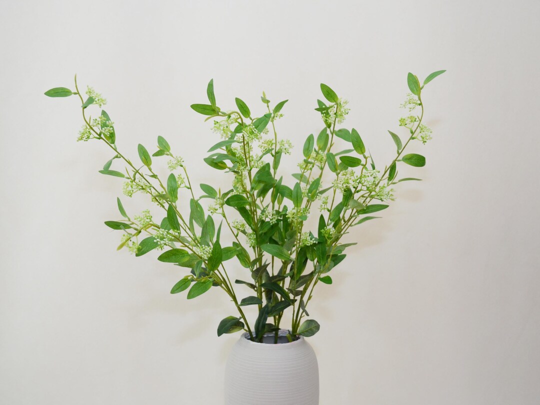 Fake Privet Quihoui With Buds, Ligustrum Vulgare Stem, Rustic ...