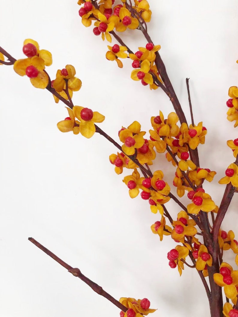 Quality Bittersweet Fruit Long Branch Artificial Fall Berry - Etsy