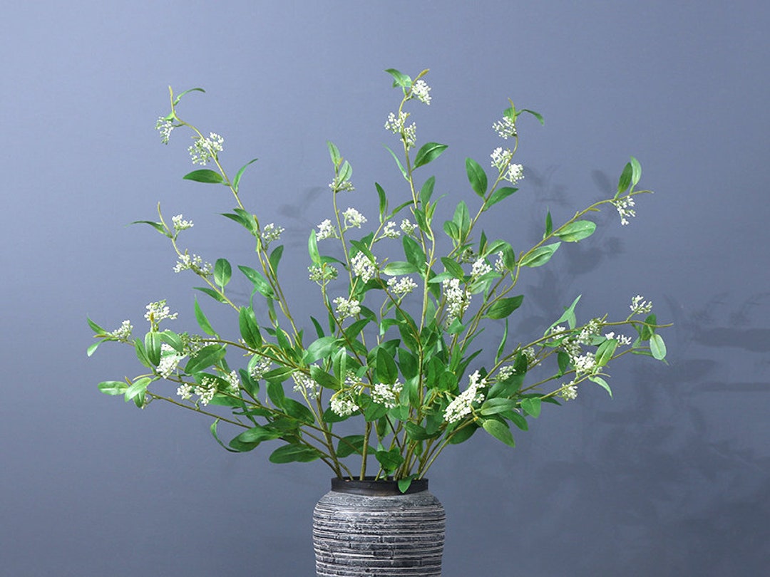 Fake Privet Quihoui With Buds, Ligustrum Vulgare Stem, Rustic ...