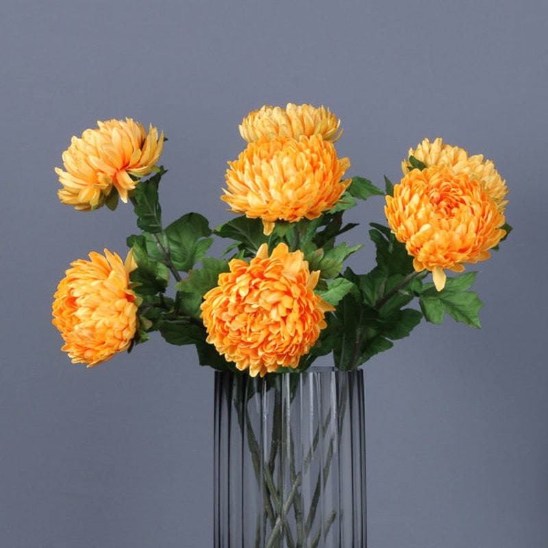 Chrysanthemum Marigold - Etsy