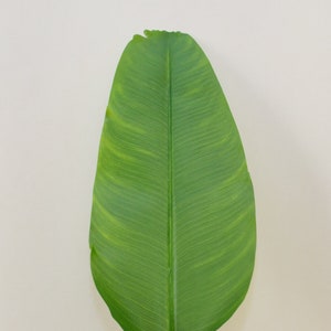 Artificial Banana Leaves, Banana Leaf Art, Fake Bird of Paradise Leaves ...
