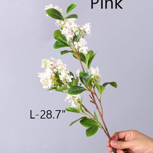Murraya Paniculata, Fake Orange Jasmine, Faux Lilac Spray, Rustic ...