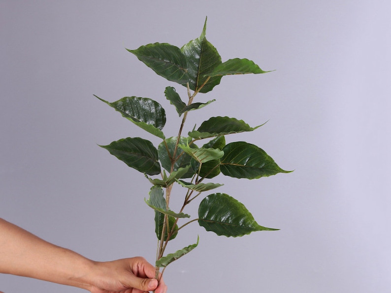 Ficus Religiosa Leafy Branch, Bodhi Foliage Stems, Fake Mulberry Leaves ...