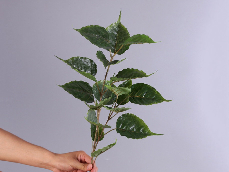 Ficus Religiosa Leafy Branch, Bodhi Foliage Stems, Fake Mulberry Leaves ...