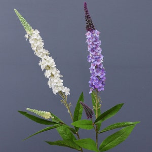 Fake Buddleja Davidii Stem With Leaves, Butterfly Bush Flower ...