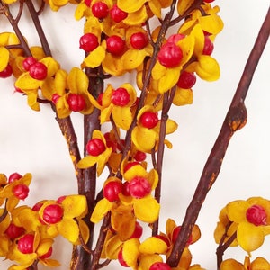 Quality Bittersweet Fruit Long Branch, Artificial Fall Berry Crafts ...