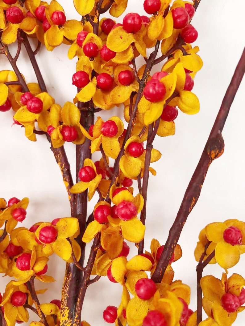 Quality Bittersweet Fruit Long Branch Artificial Fall Berry - Etsy