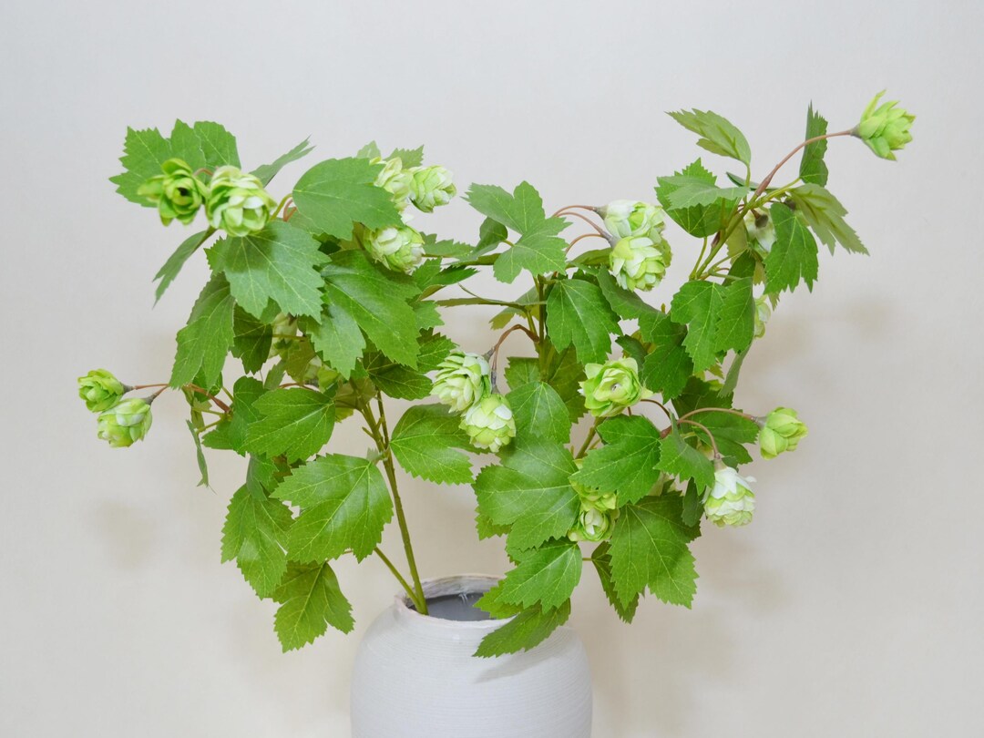 Artificial Hops Stem With Leaves, Fake Humulus Lupulus, Home Decor ...