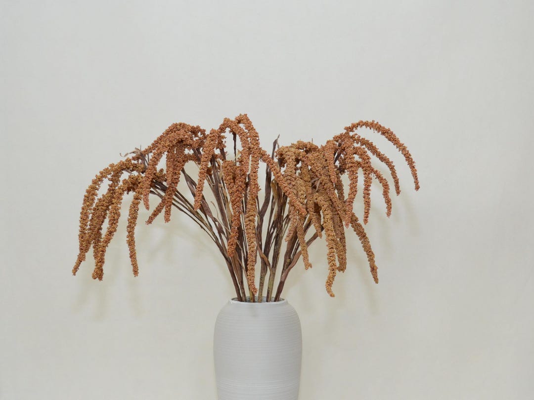 Millet Stem With Leaves, Grain Ear Spray, Fake Cereal Plant Crafts ...