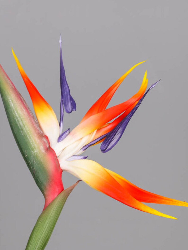 Fake Bird of Paradise Stem, Strelitzia Reginae Bloom, Artificial Flower ...