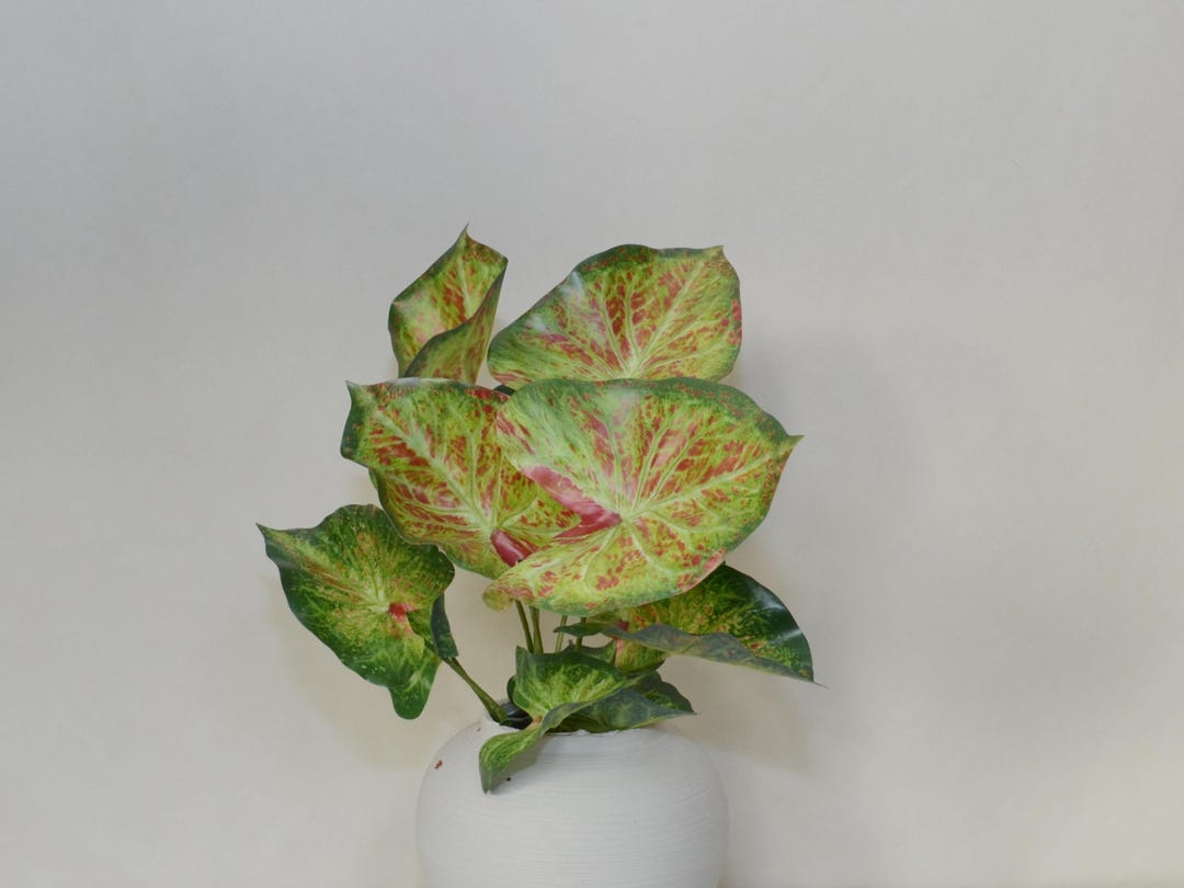 Fake Caladium Bicolor With Root, Artificial Flowers, Tropical Plant ...