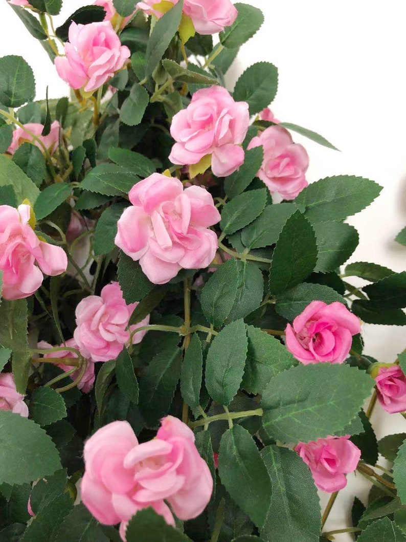 Trailing Rose Vine With Rich Leaves, Artificial Climbing Rosa, Hanging ...