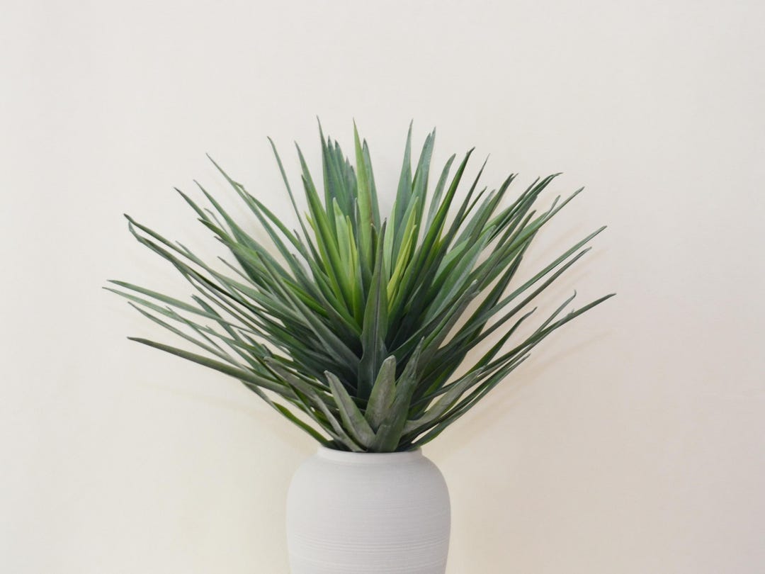 Fake Agave Plant, Agave Sisalana, Tropical Plant Crafts, Wedding ...