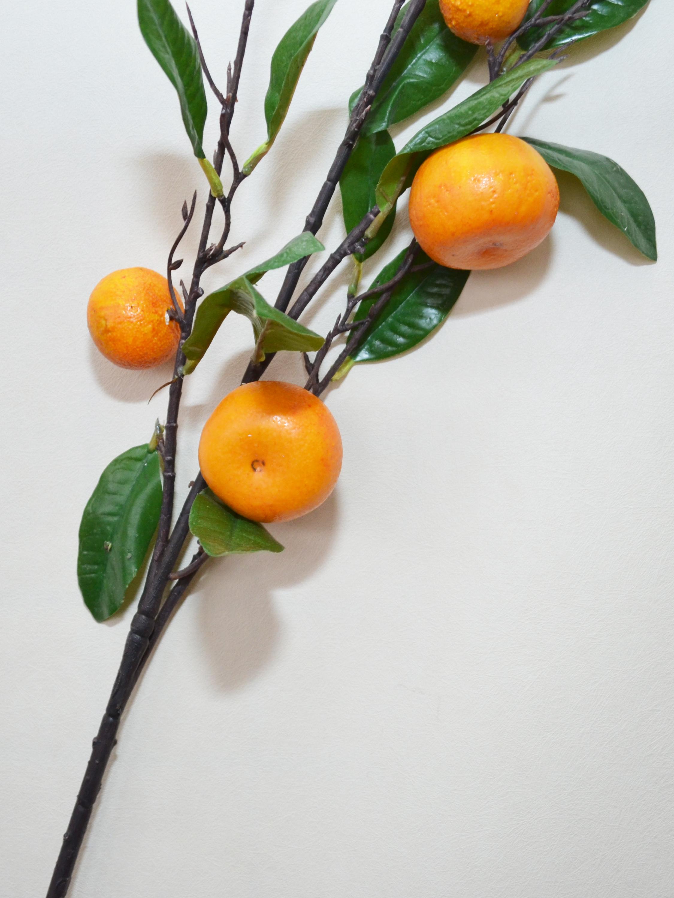 Realistic Citrus Stem, Artificial Orange Fruit Stem With Leaves, Autumn ...