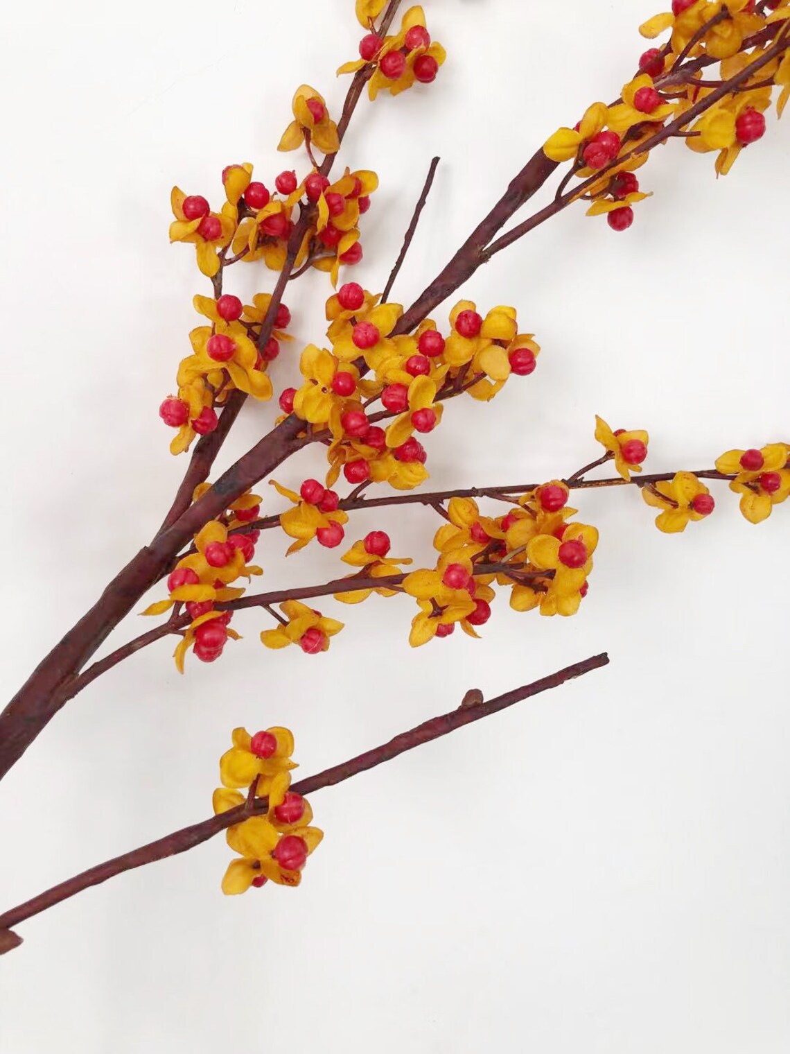 Quality Bittersweet Fruit Long Branch Artificial Fall Berry - Etsy