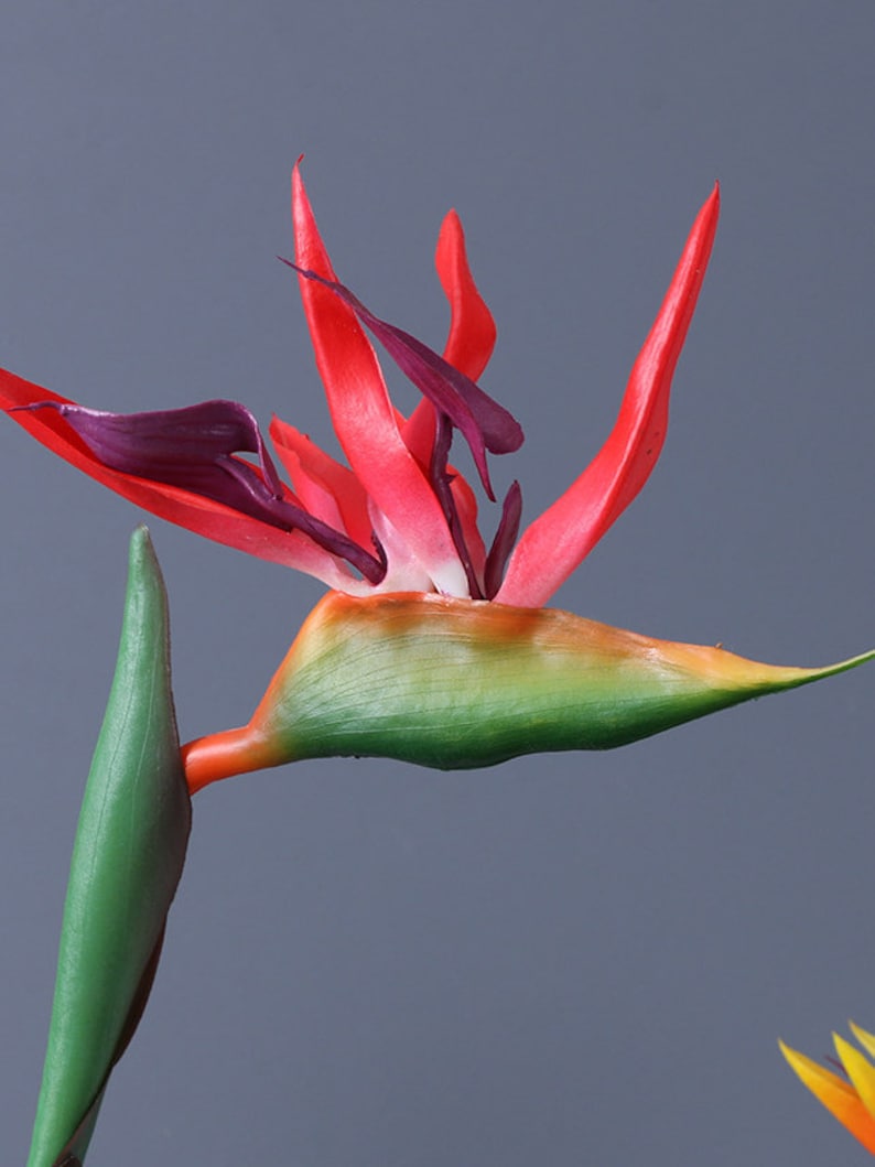 Artificial Bird of Paradise With Long Stem, Fake Flower Craft, Bridal ...