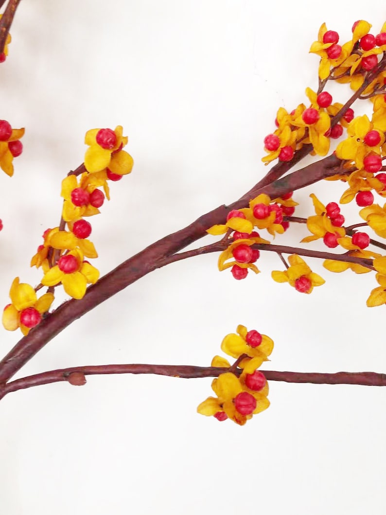 Quality Bittersweet Fruit Long Branch Artificial Fall Berry - Etsy