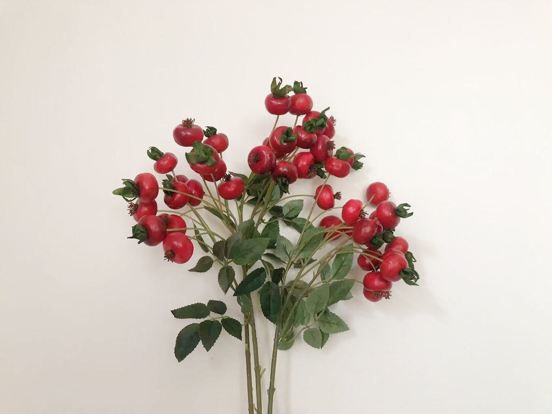 Rosehip Stem With Foliage, Artificial Berry Craft, Realistic Small ...
