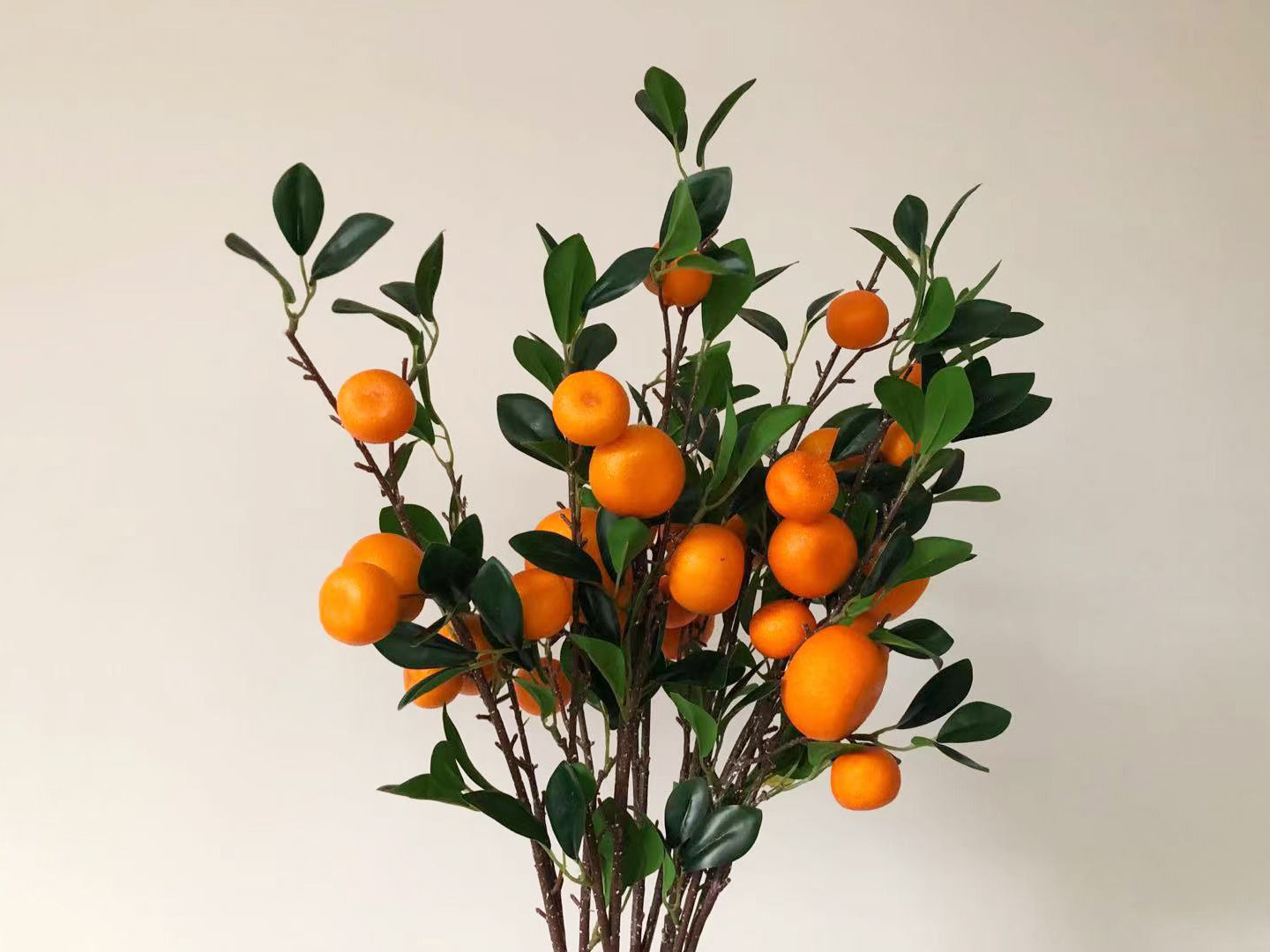 Orange Branch