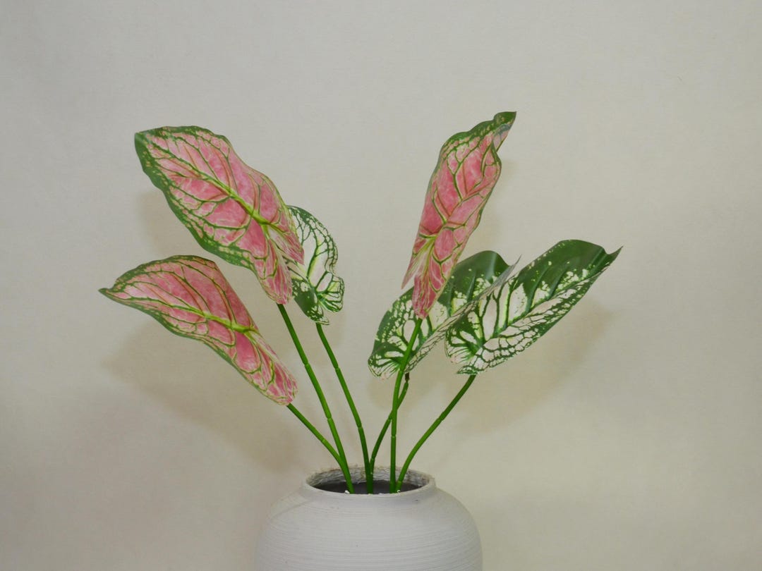 Fake Caladium Bicolor With Root, Artificial Flowers, Tropical Plant ...