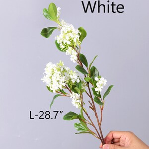 Murraya Paniculata, Fake Orange Jasmine, Faux Lilac Spray, Rustic ...