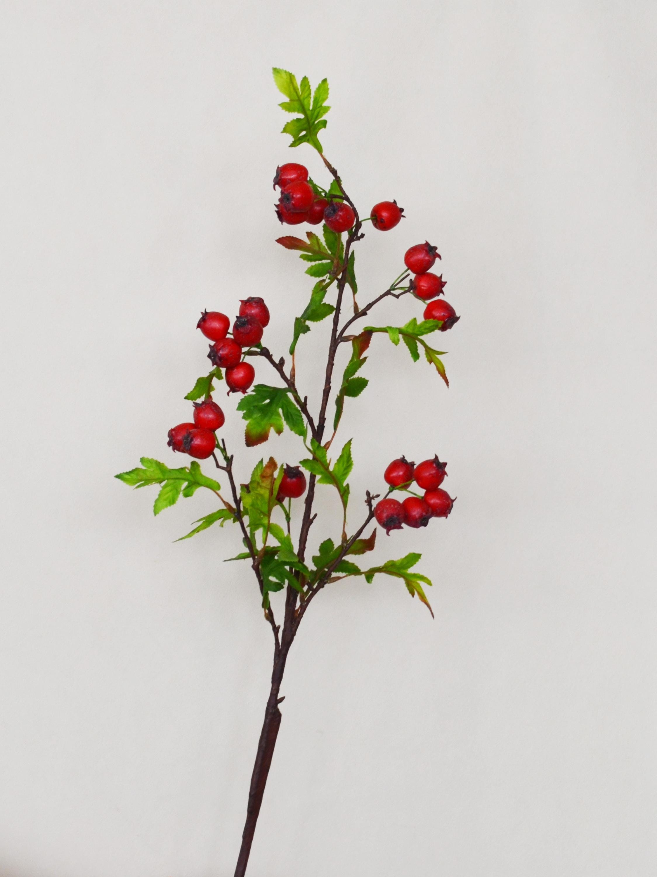 Artificial Hawthorn Branches With Fruit and Leaves, Faux Cranberry ...