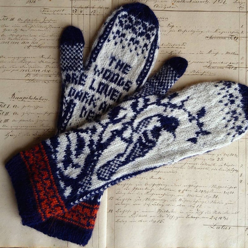 Animal Mittens - Etsy
