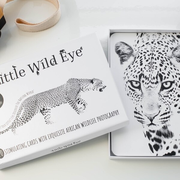 Little Gallery - Etsy