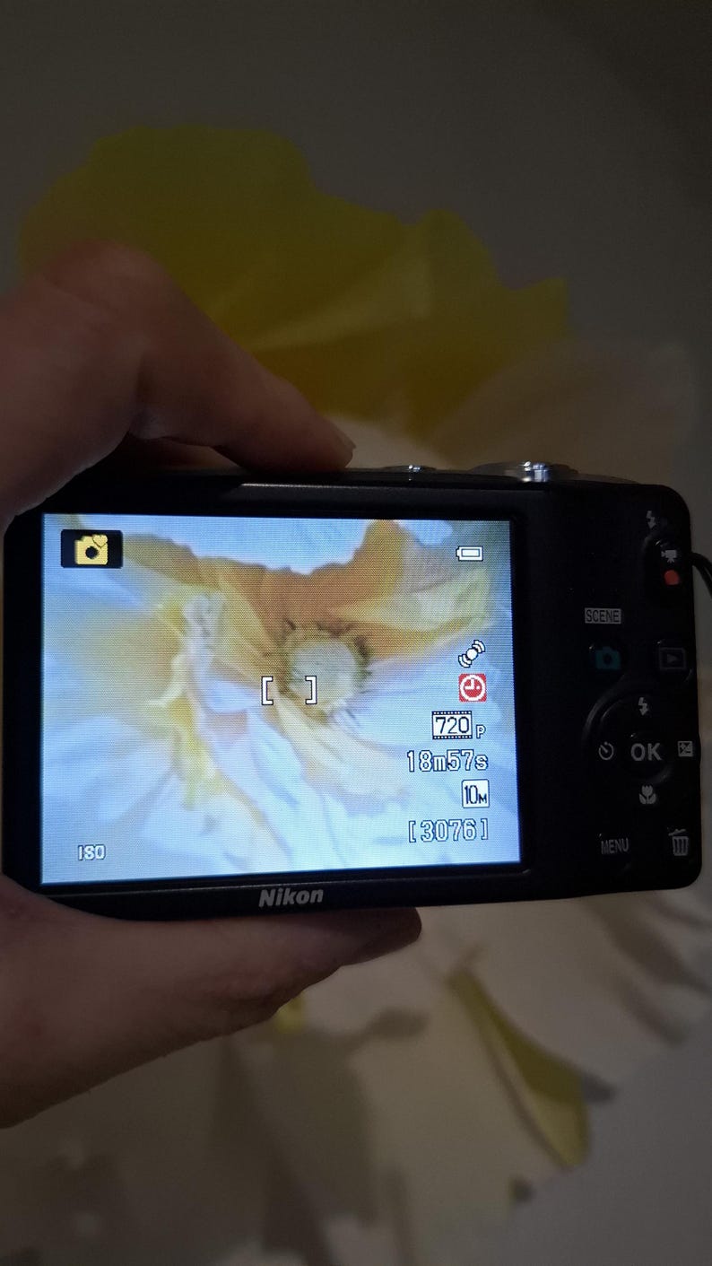 Nikon Coolpix L25, Compact Digital Camera, 10MP, 3x Optical Zoom ...